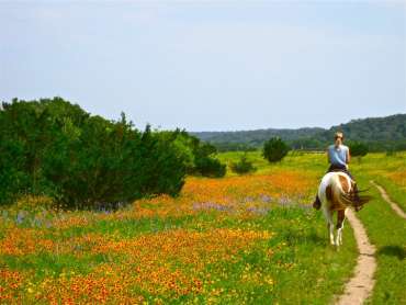 7 Best Farms & Ranches for Horseback Riding Near Austin, TX ...