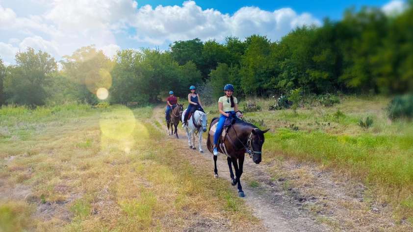 UrbanMatter Austin | News, Lifestyle, Restaurants, & Things to Do