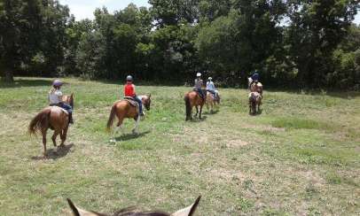 7 Best Farms & Ranches for Horseback Riding Near Austin, TX ...