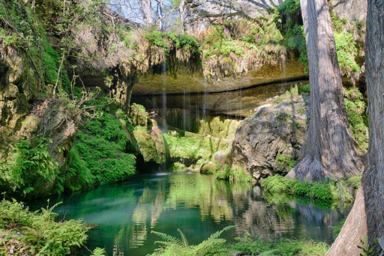 Take a Hike to This Stunning 40-Foot Waterfall & Cave Near Austin, TX ...