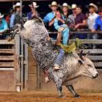 Tejas Rodeo is a Hidden Gem Outside San Antonio | UrbanMatter Austin