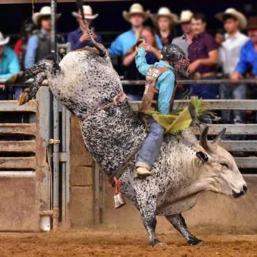 Tejas Rodeo is a Hidden Gem Outside San Antonio | UrbanMatter Austin