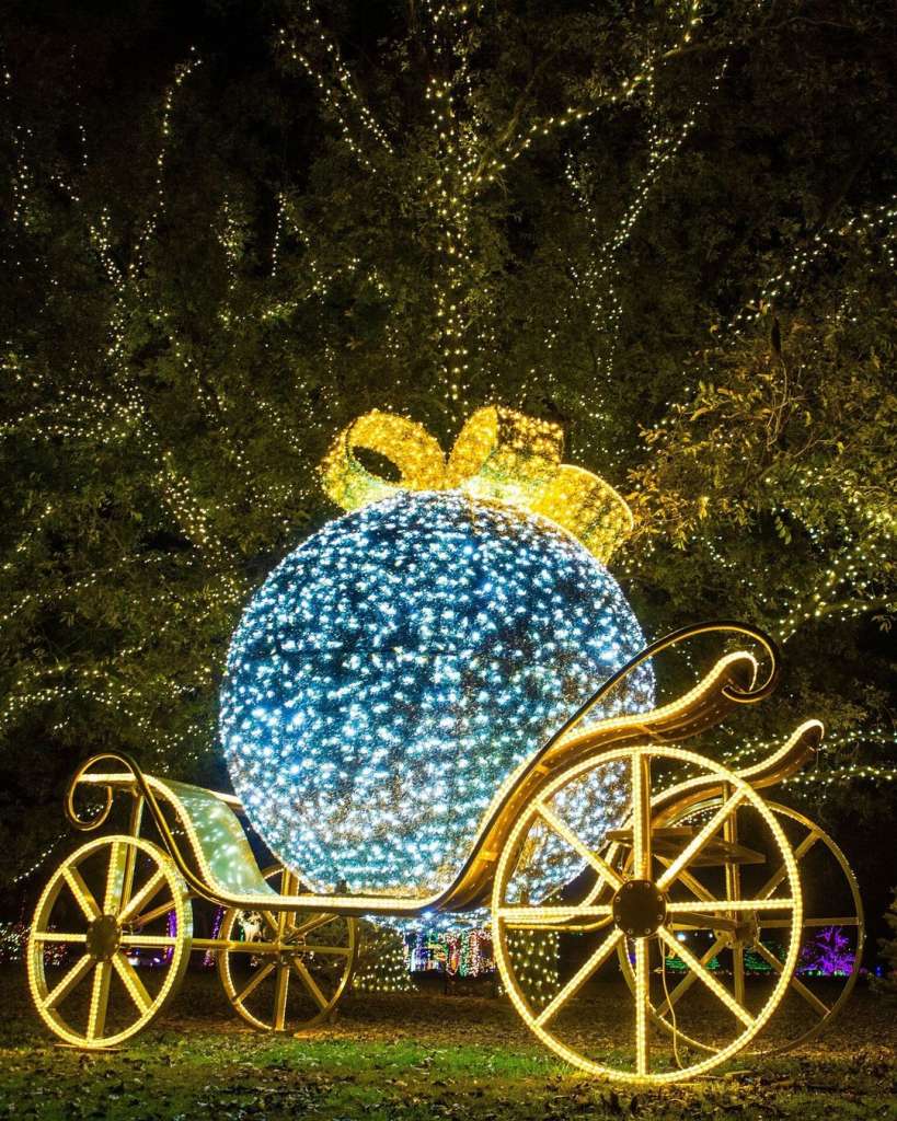 Check Out These Fun Things to Do This Winter in Austin | UrbanMatter Austin