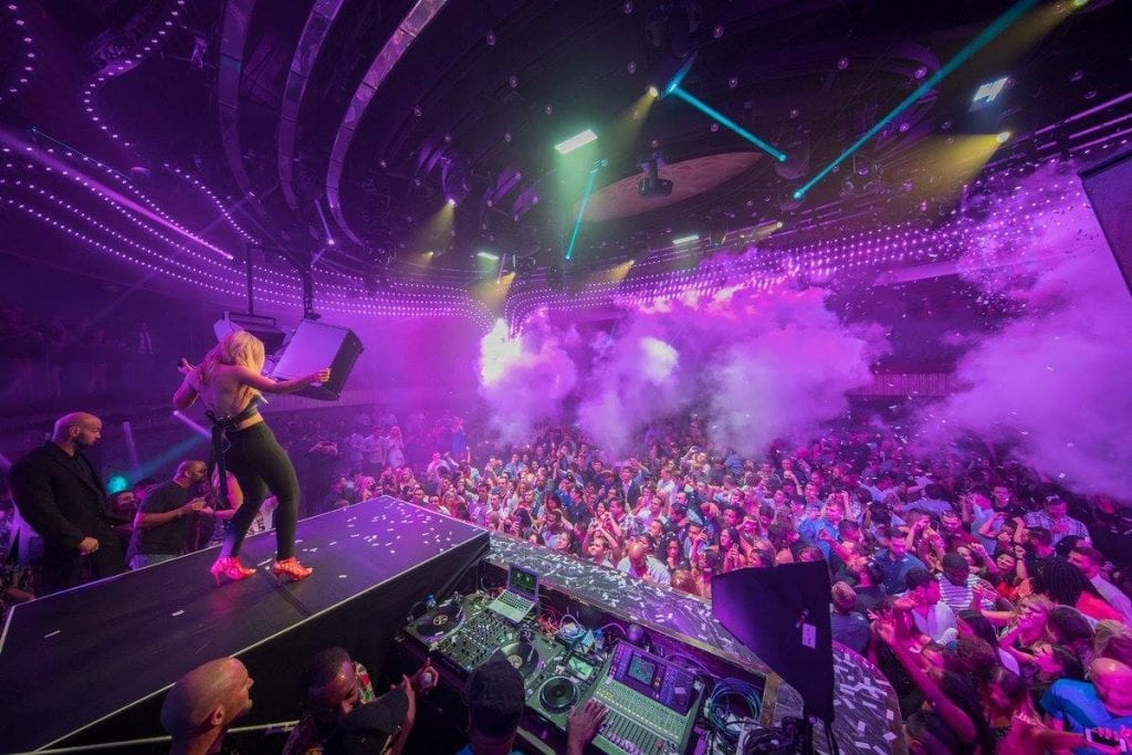 Let's Get Wild at These November Chicago Concerts