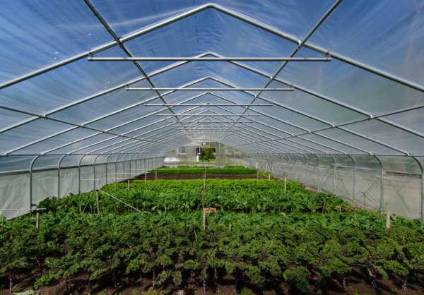 10 Must-See Places On the South Side of Chicago | UrbanMatter