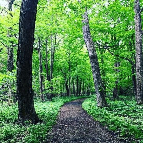 Hiking Trails Around Chicago To Hit Up This Fall