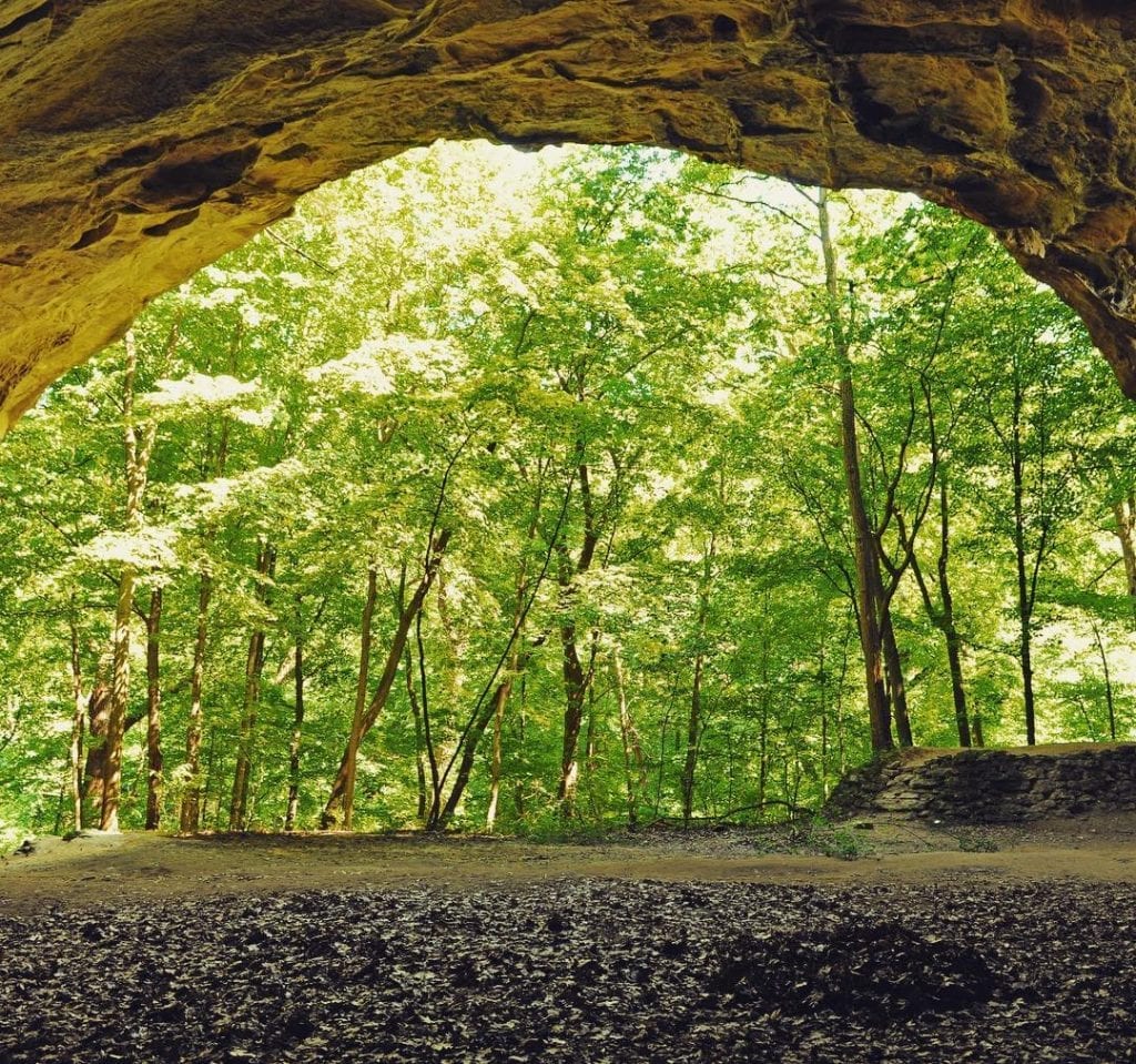 Hiking Trails Around Chicago To Hit Up This Fall