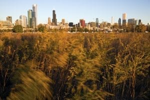 Hiking Trails Around Chicago To Hit Up This Fall