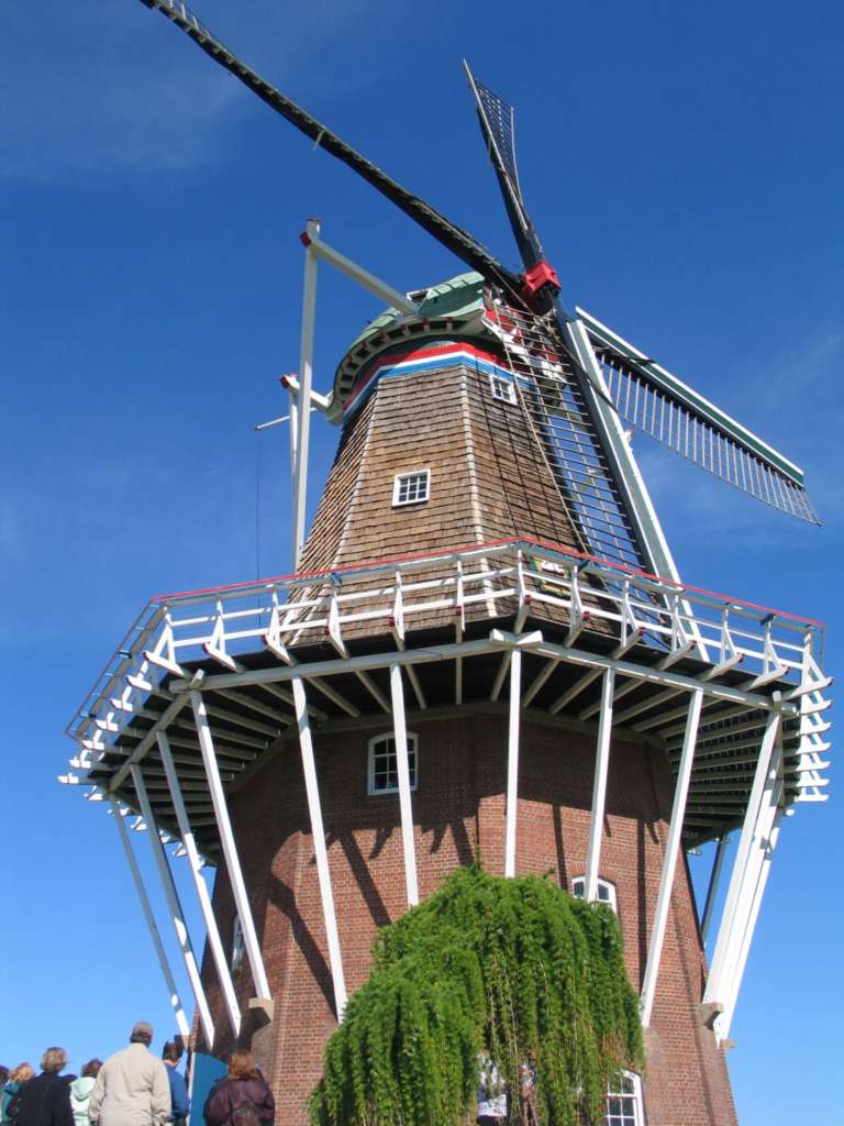 A Riot of Tulips and Authentic Windmill Experience in Holland, MI ...