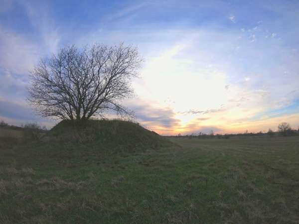 Five Reasons to Hike the Midewin National Tallgrass Prairie | UrbanMatter