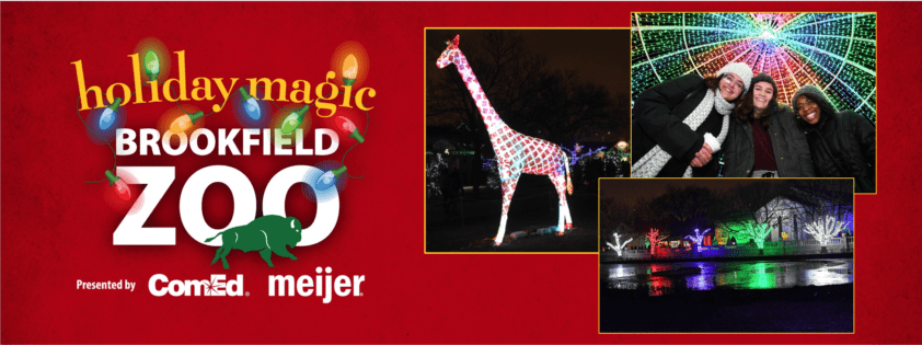 11 Things to Do in Downtown Chicago This November | UrbanMatter