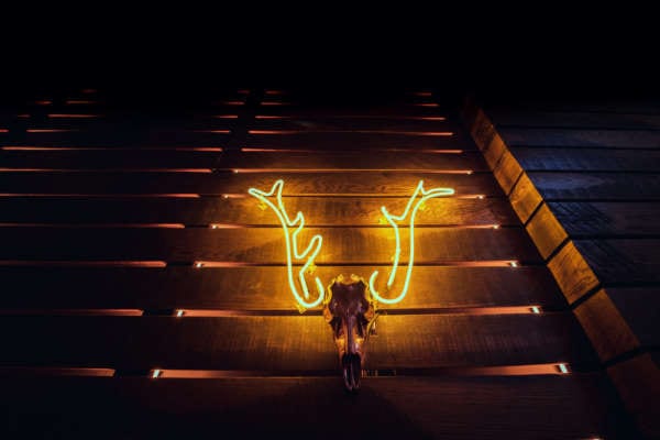 8 Neon Signs Calling Your Name In Chicago