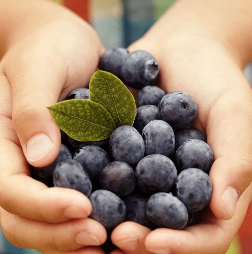 10 Fresh Meat & Produce Markets Near You in Chicago | UrbanMatter