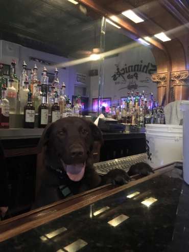 12 Best Irish Pubs to Grab a Guinness & Pub Food in Downtown Chicago ...