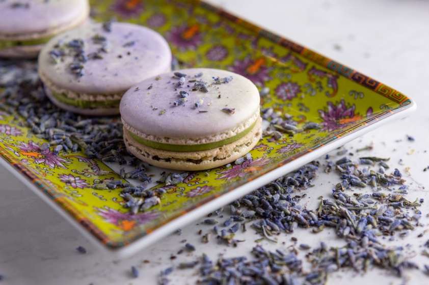 Matcha Cita Opens In The West Loop | UrbanMatter