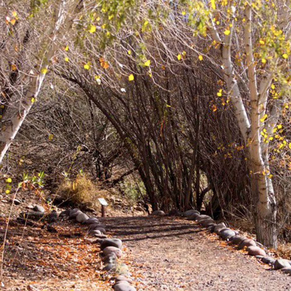 Rio Salado Habitat Restoration Area | UrbanMatter Phoenix