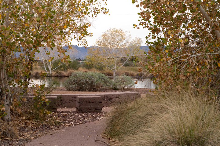 Rio Salado Habitat Restoration Area | UrbanMatter Phoenix