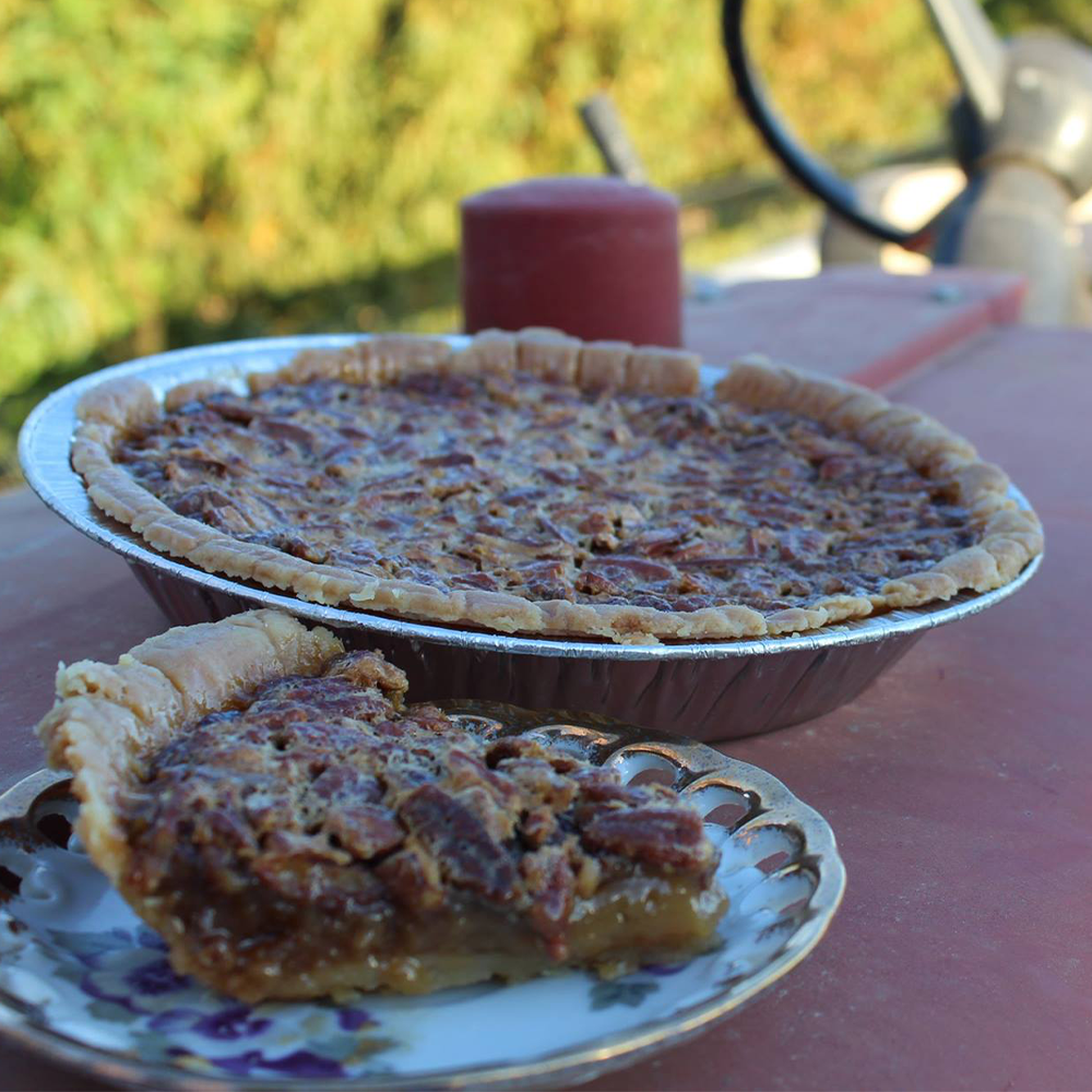 Amadio Ranch | UrbanMatter Phoenix