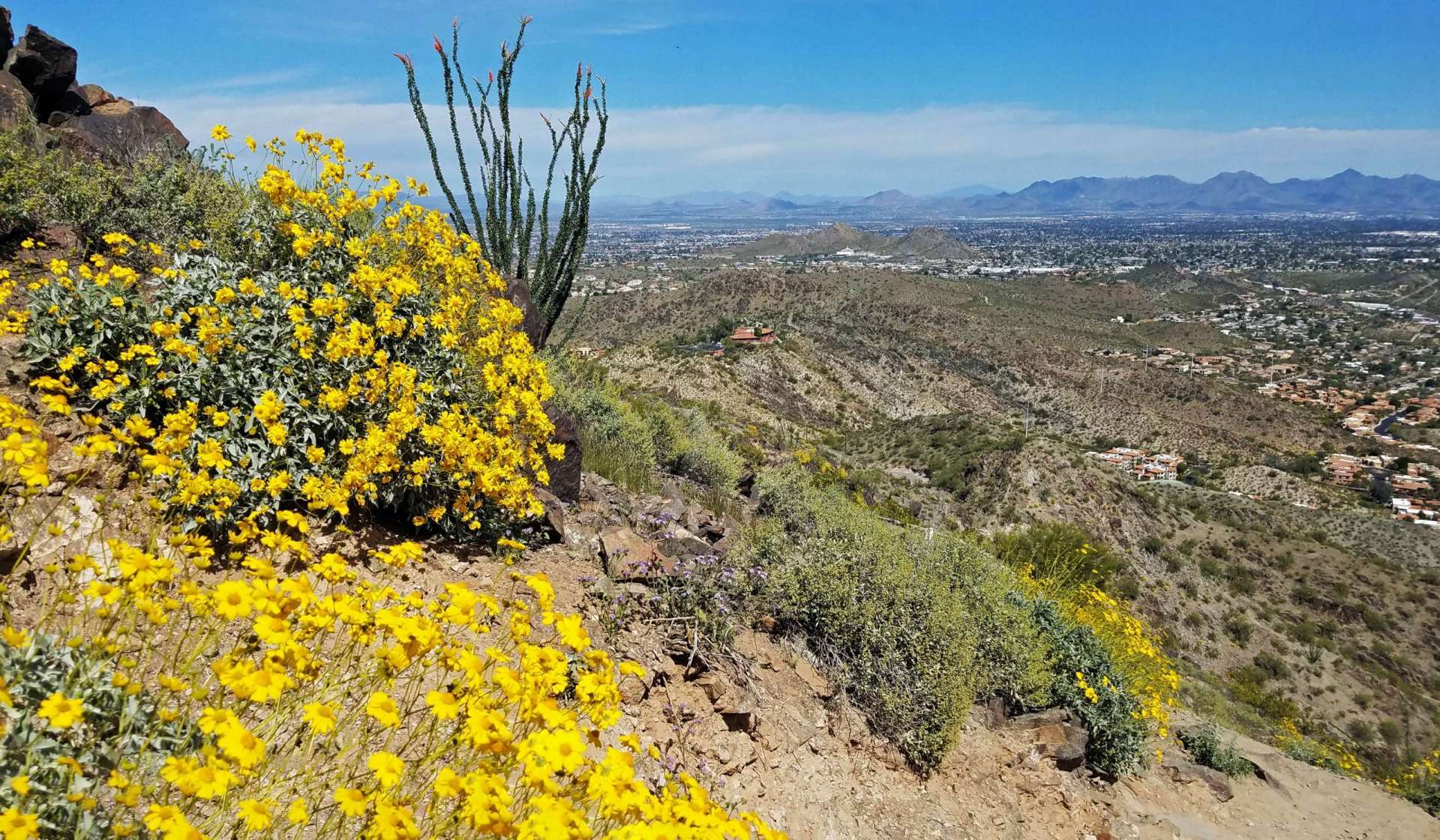 North Mountain & Shaw Butte Trails | UrbanMatter Phoenix