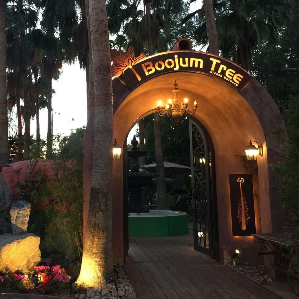 Boojum Tree Hidden Gardens | UrbanMatter Phoenix