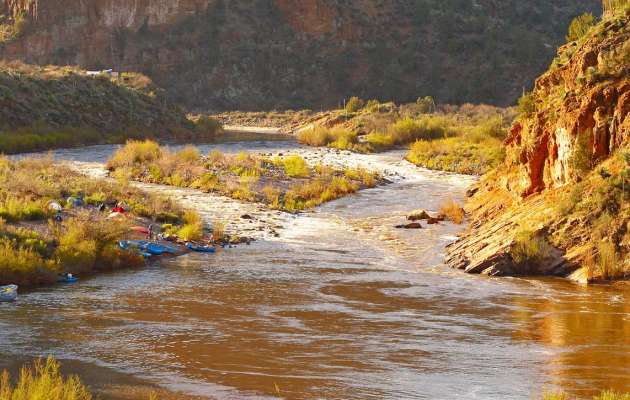 6 Best Forests in Arizona for a Weekend Getaway | UrbanMatter Phoenix