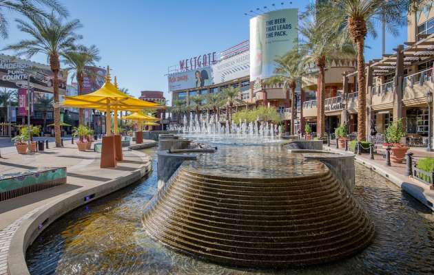 6 Best Forests in Arizona for a Weekend Getaway | UrbanMatter Phoenix