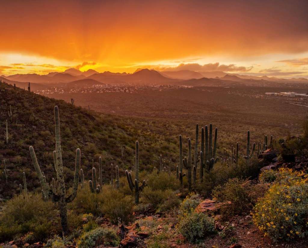 Where to Catch the Best Sunsets in Tucson | UrbanMatter Phoenix