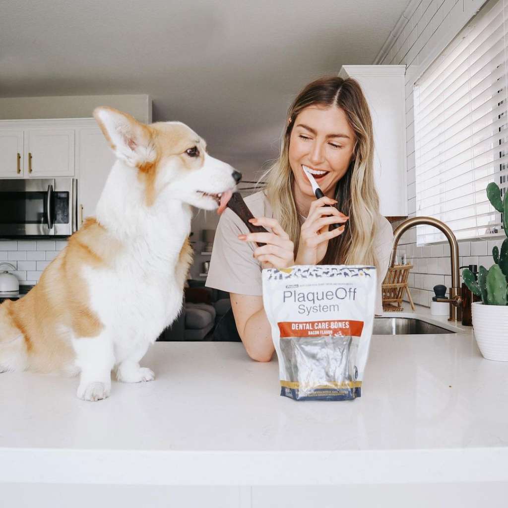 4 Pet Influencers from Phoenix You Need to Follow | UrbanMatter Phoenix