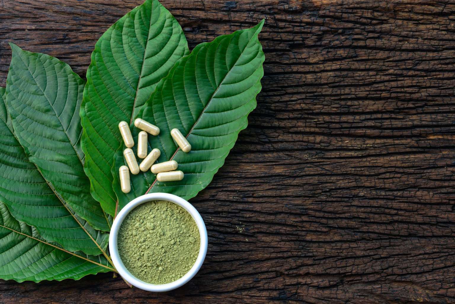 Understanding Kratom and its Different Varieties - UrbanMatter