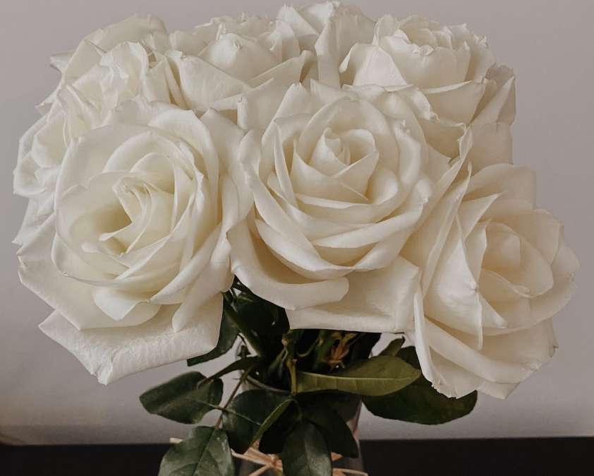 Bouquet Of White Roses - UrbanMatter