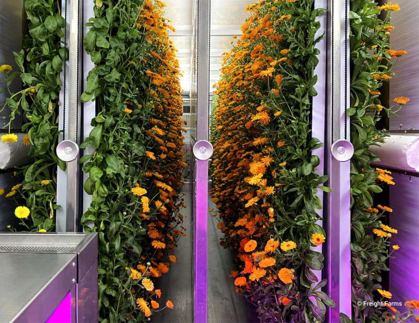 How Freight Farms is Innovating Urban Farming - UrbanMatter