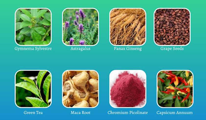 Cortexi Reviews 2023: Ingredients, Pros, Cons & Side Effects Exposed ...