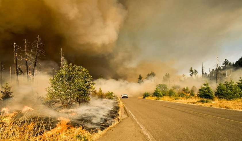 Exploring the Most Devastating Wildfires in U.S. History - UrbanMatter