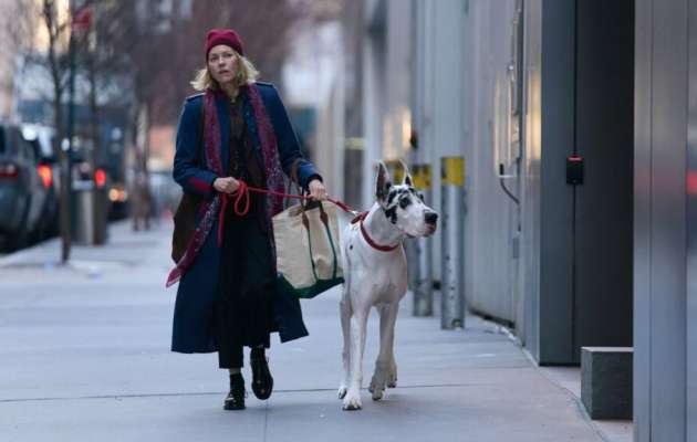 Why Wingtalks Is Good For The Wellness Of Your Mind - UrbanMatter