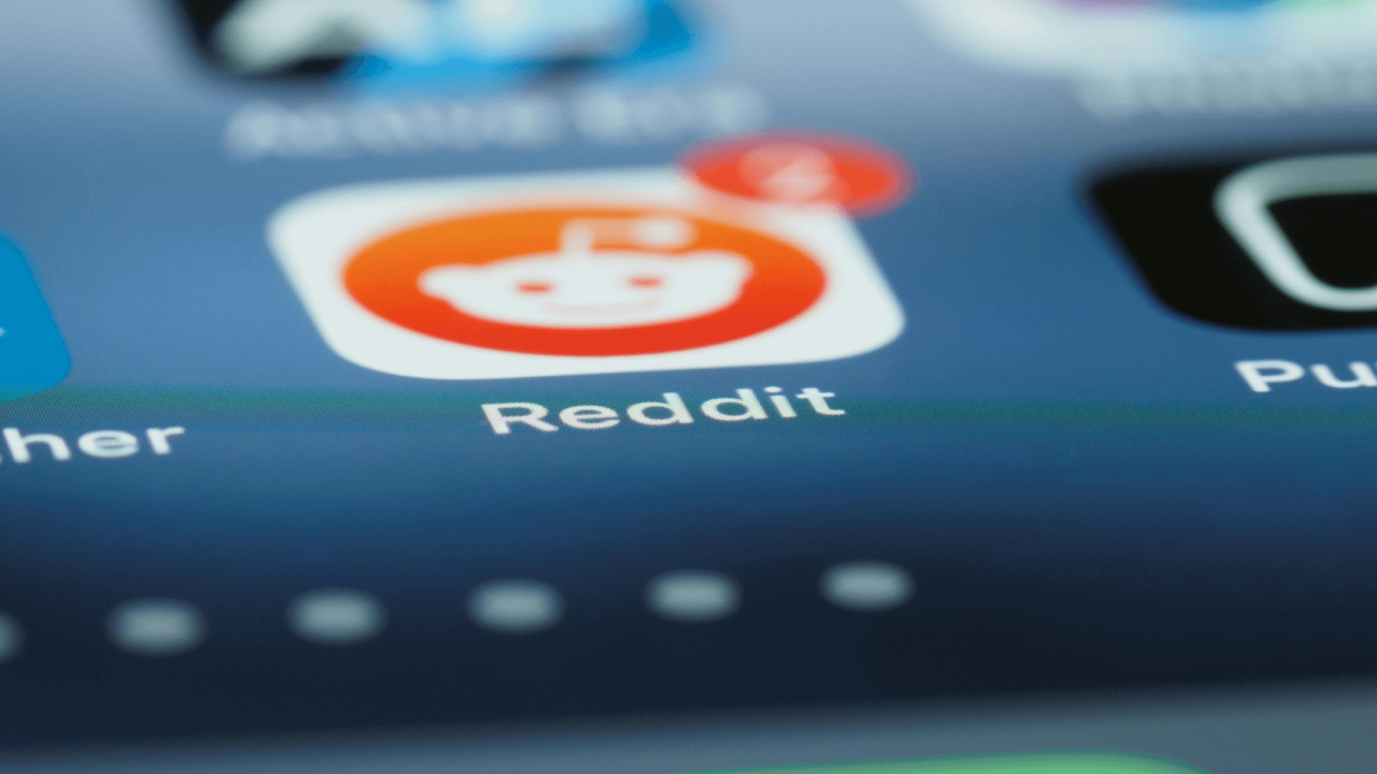 How to Upvote on Reddit: Everything You Need to Know as a New User ...