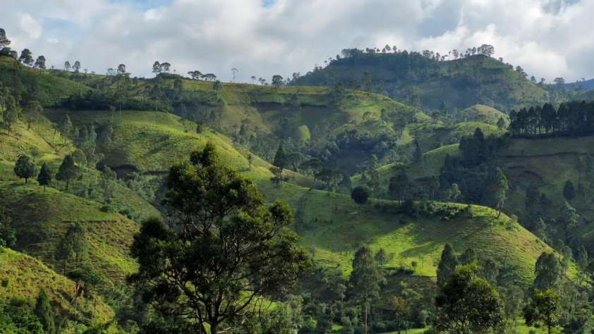 Why Rwanda is the future of luxury adventure travel - UrbanMatter